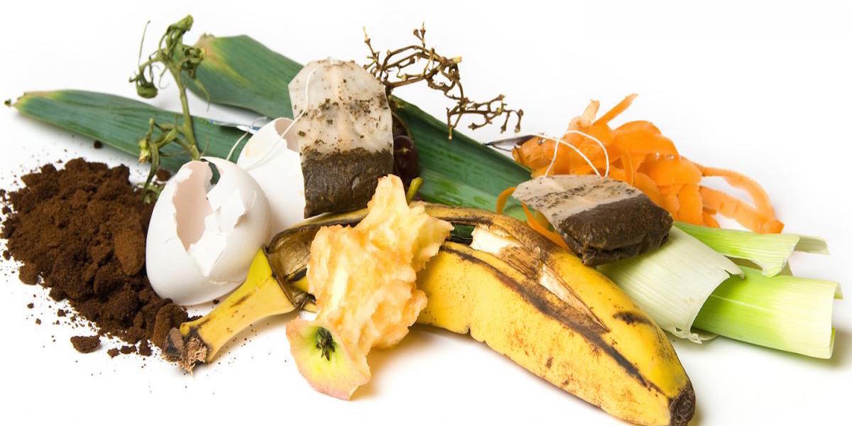 Join the Clean Plate Club Today, Save the World Tomorrow - Sirvo